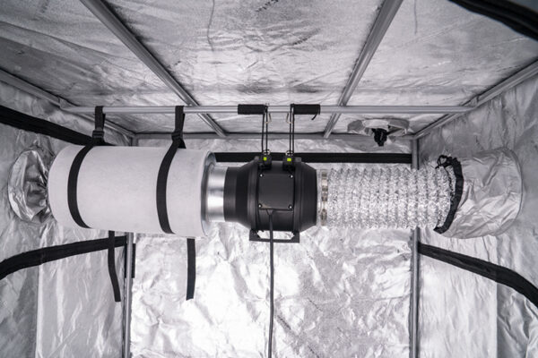 Grow Tent Ventilation: Grow Room Fan Guide - IndoGrow